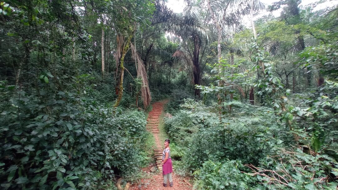 KENYA: Kakamega Forest | Africanlanders
