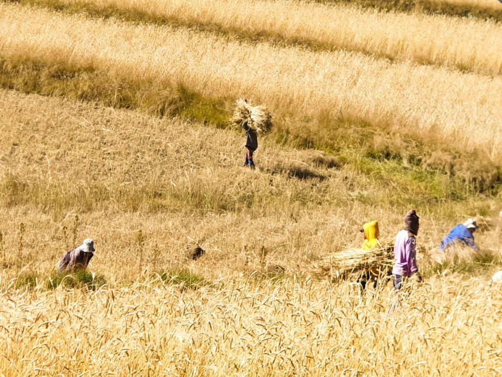 LESOTHO: Semonkong and Maletsunyane Falls | Africanlanders