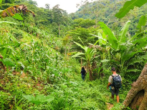 TOGO: Kpalimé, a green and rural paradise of Togo | Africanlanders